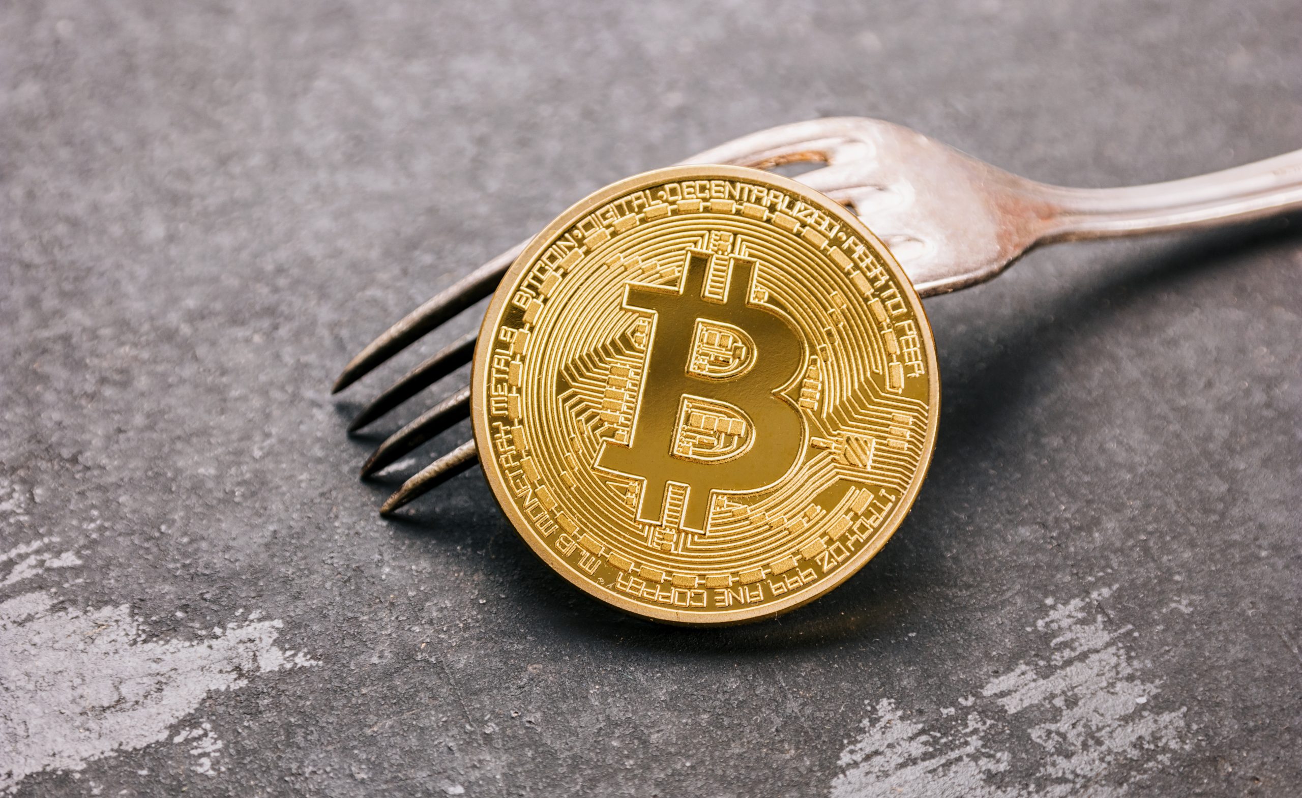 What's the Meaning of Hard Forks in Cryptocurrency?