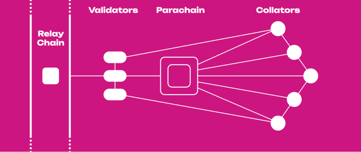 What Are Parachains? Unveiling Polkadot & Kusama Networks