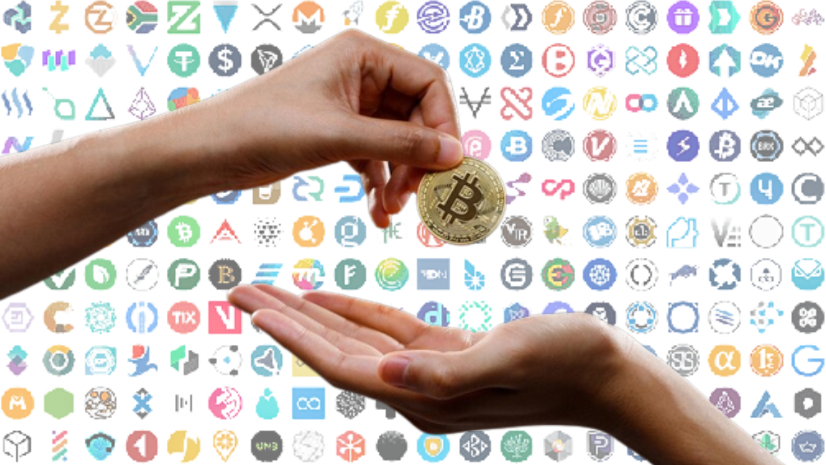 Bitcoin vs Altcoins: Which to Choose?